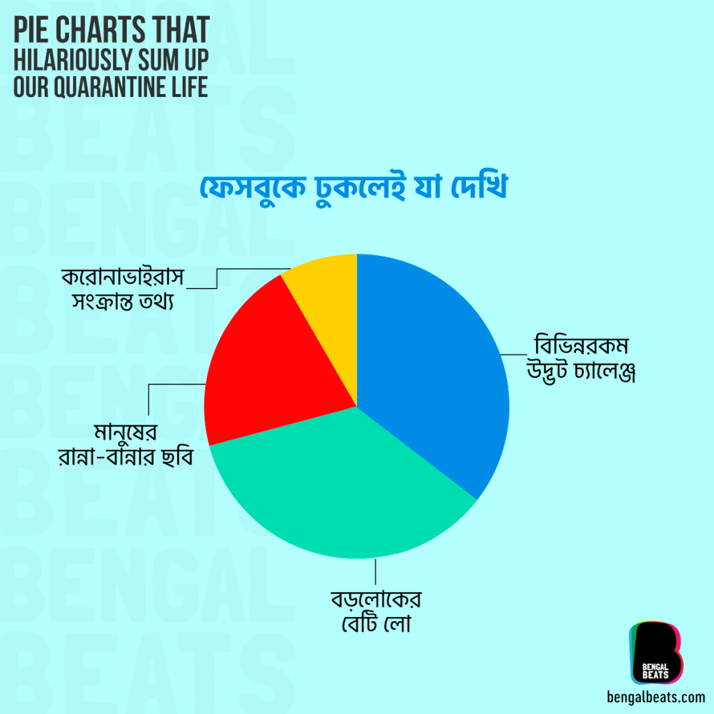 Life In Quarantine নিয়ে ৮টি রিলেটেবল পাই চার্ট - Bengal Beats